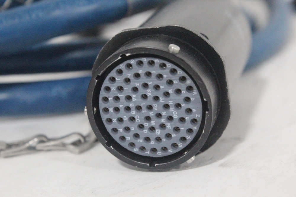 15' - Whirlwind W2IF 61-Pin Inline Female Connector- (20) Fan Out 3-Pin ...