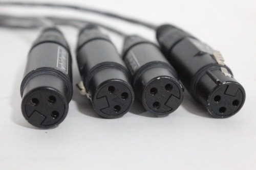 5' - Whirlwind DBF2-FM-010 Fanout Cable w/ (4) XLR AES Input Connectors ...