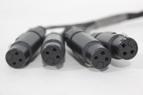 5' - Whirlwind DBF2-FM-010 Fanout Cable w/ (4) XLR AES Input Connectors ...